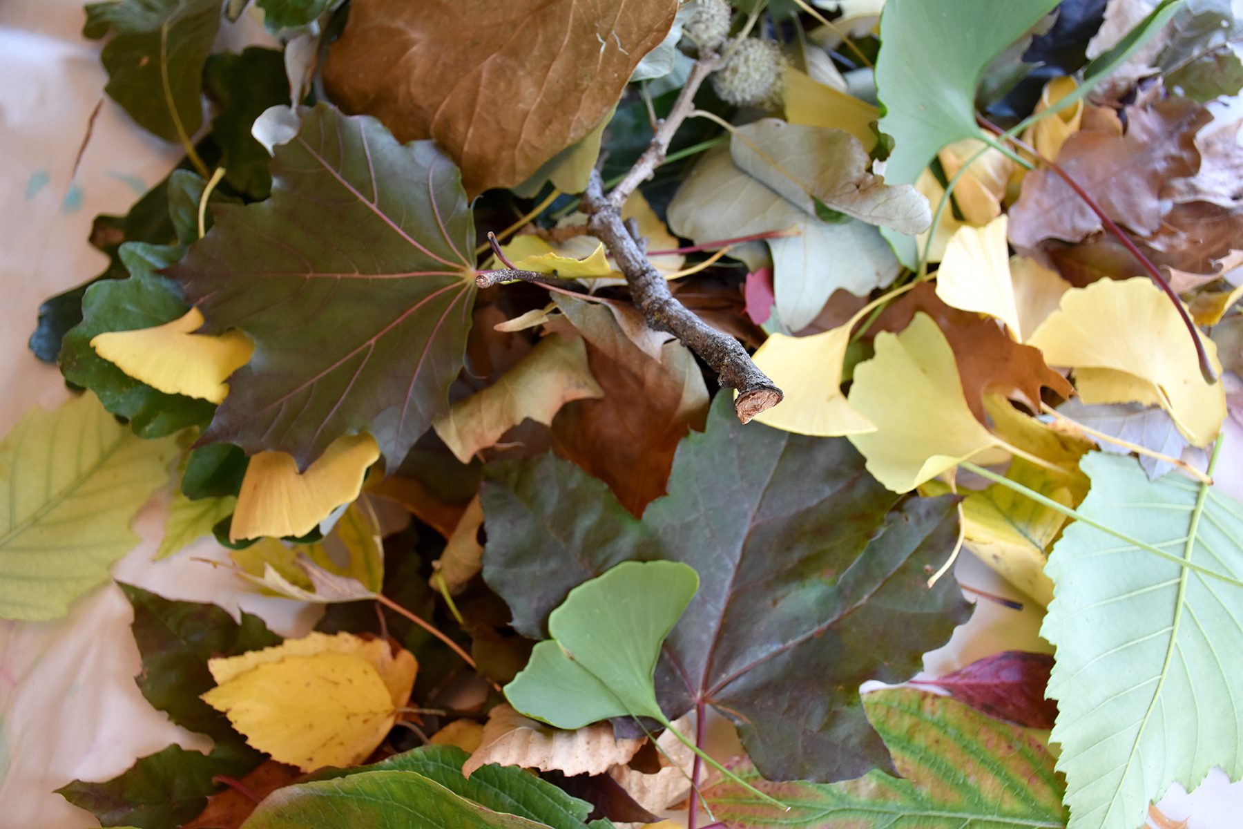 Leaf Crowns » I Love Inspire(d)