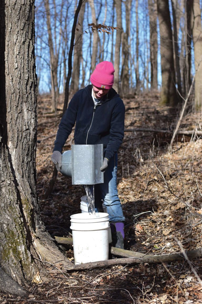 Greens' Sugar Bush » I Love Inspire(d)