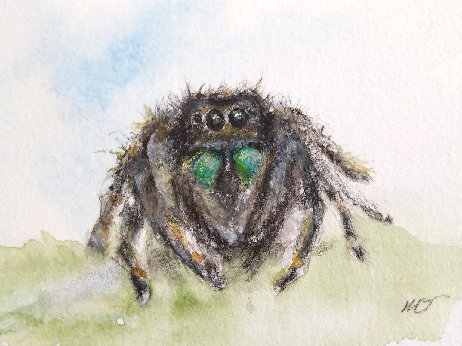 Spiders » I Love Inspire(d)