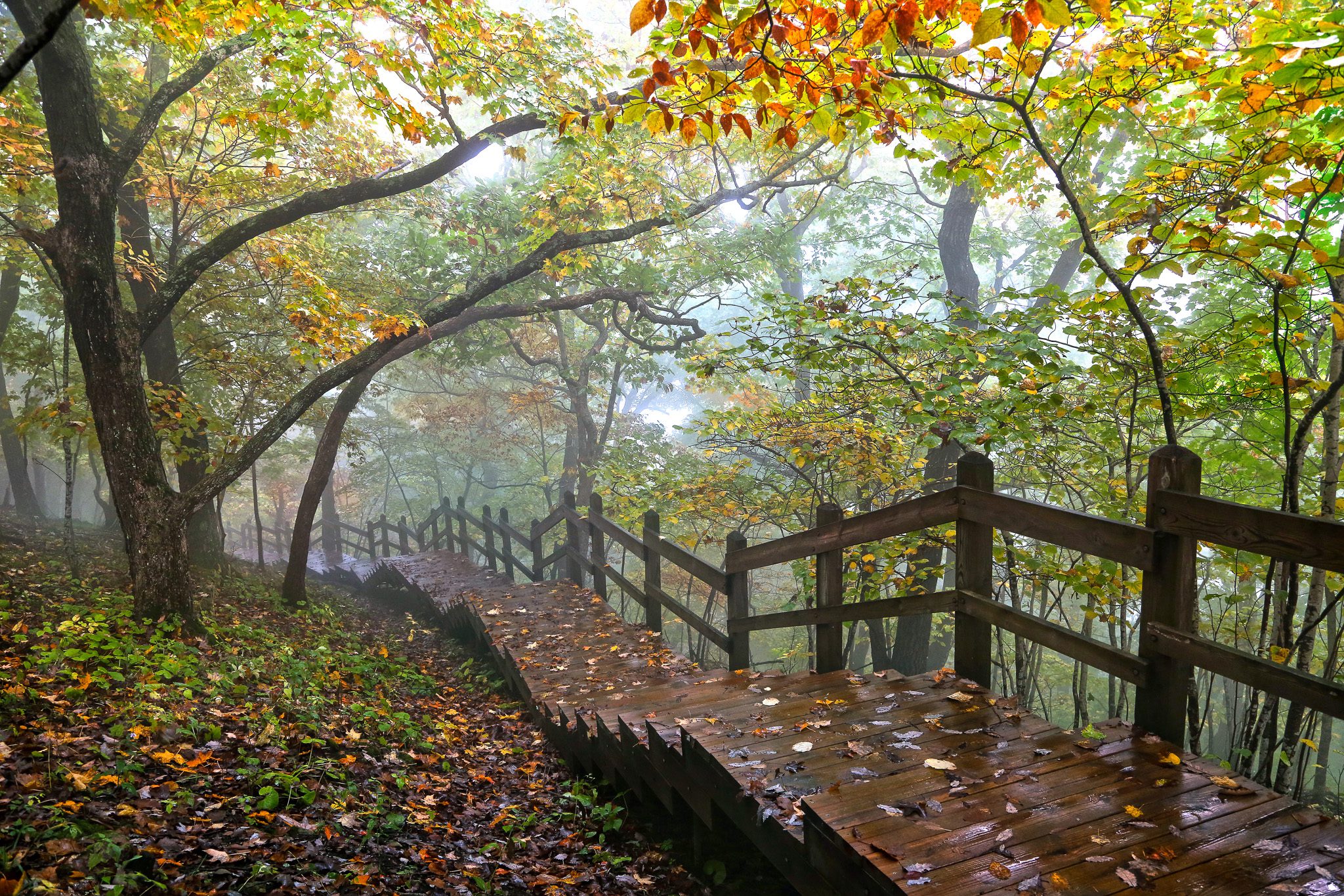 2025 Inspire(d) Photographers » I Love Inspire(d)